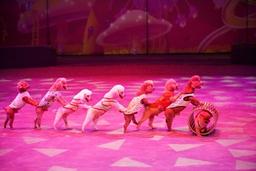 Performances-Shanghai Circus World Tickets